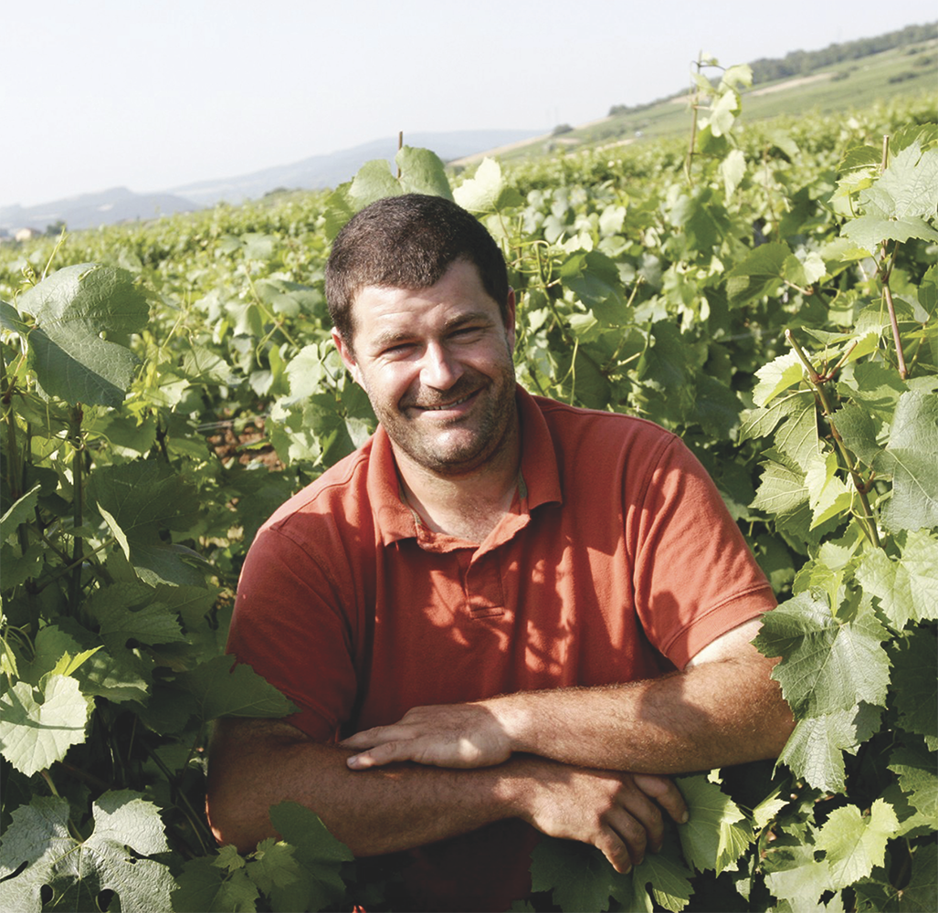 Nicolas Maillet – Wines Direct Ireland